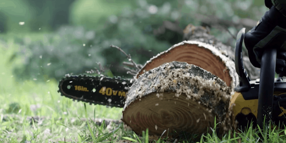 Chainsaws - Everything You Need To Know - The Saw Guy