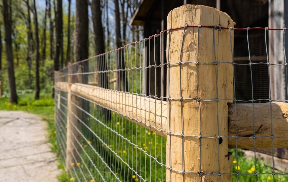 14 Creative Cheap Fence Ideas to Enhance Your Outdoor Space