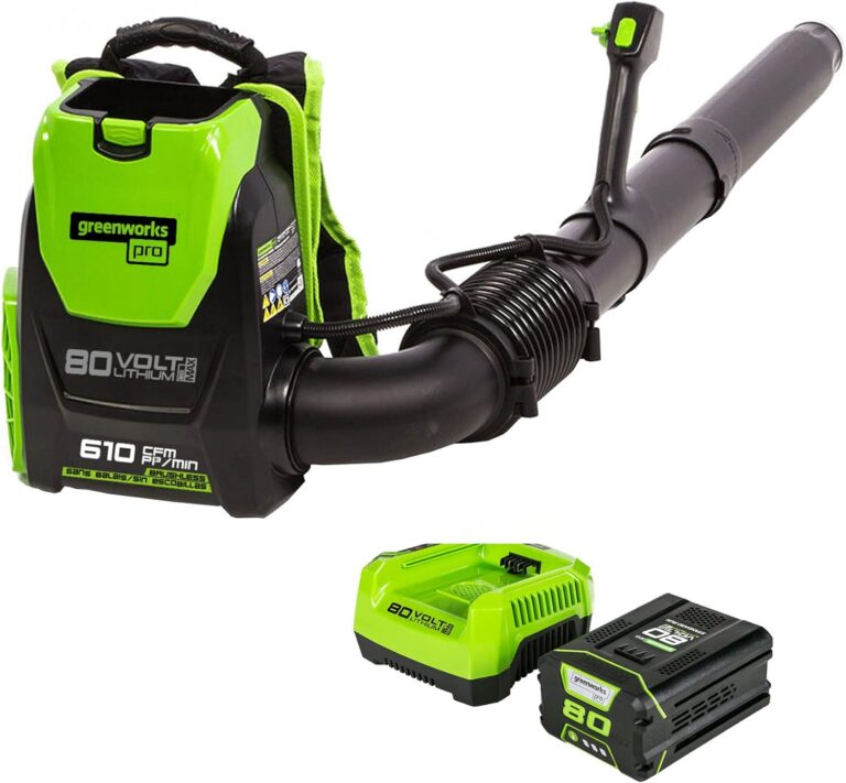 Best Backpack Blower: Conquering Your Yard in 2024